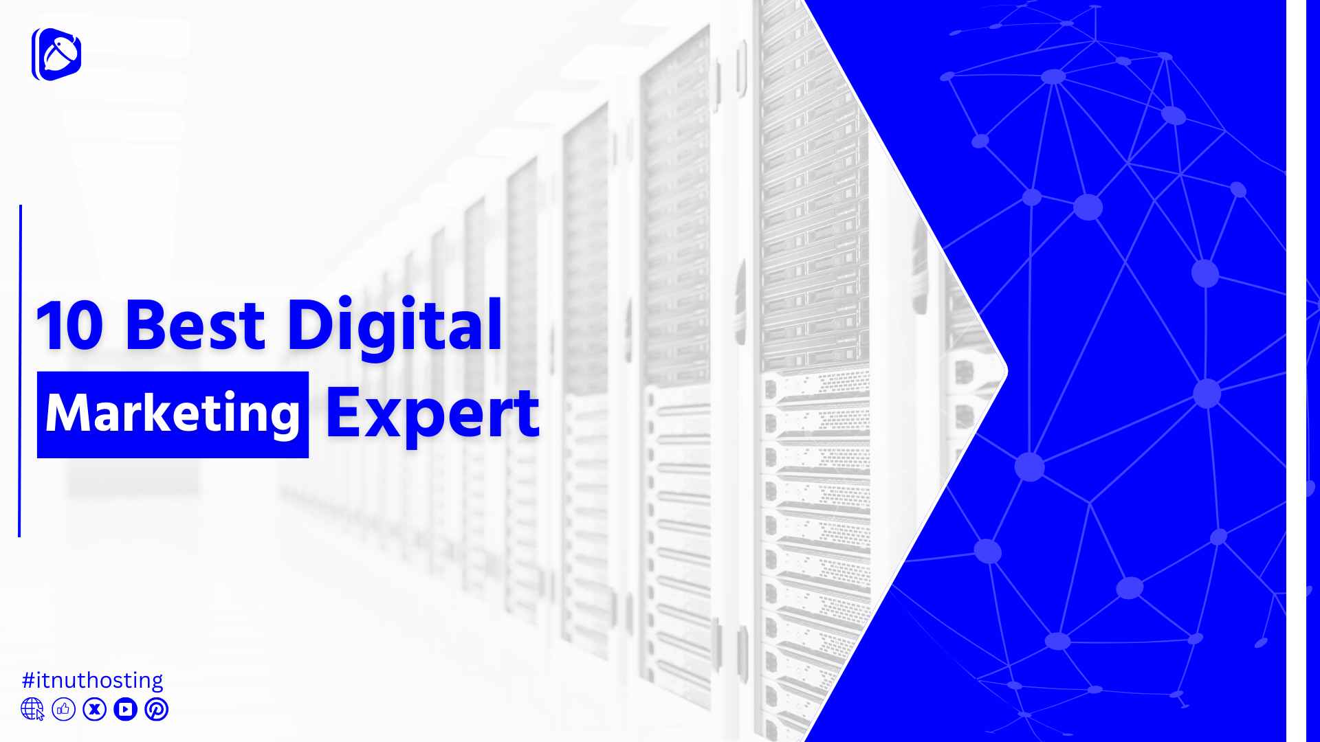 10 Best Digital Marketing Expert - IT Nut Hosting