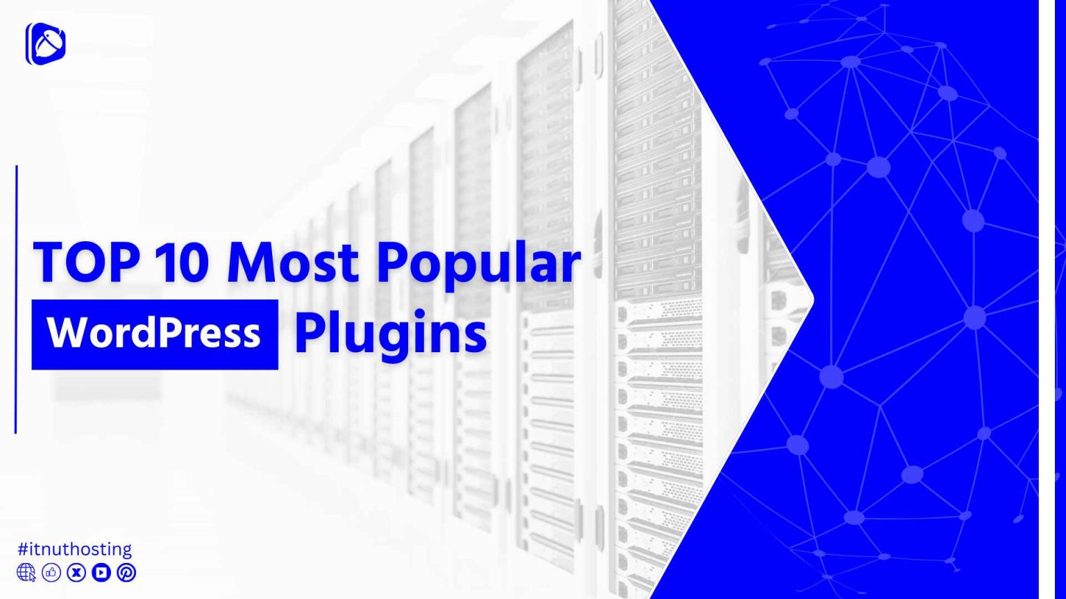 TOP 10 Most Popular WordPress Plugins - IT Nut Hosting