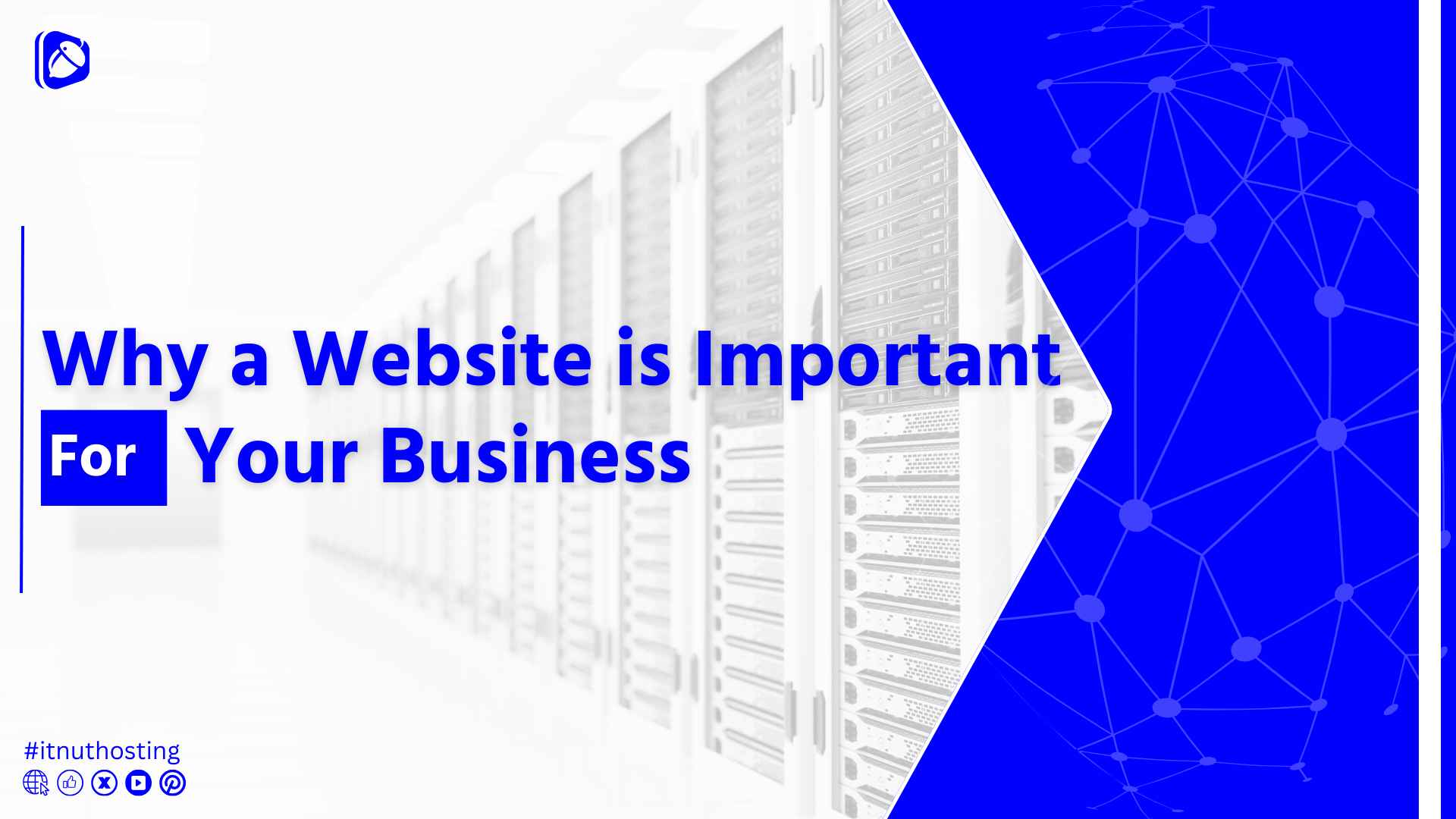 5 Reasons Why Website is Important For Business - IT Nut